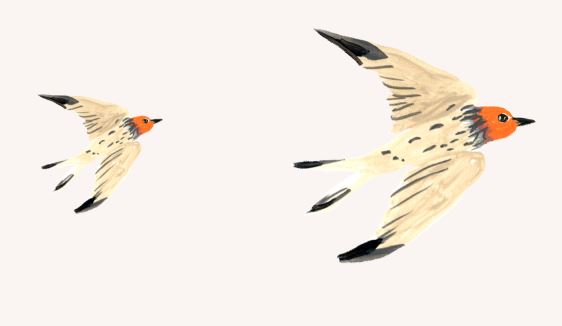 About Us - Estelle Manor - Country Hotel and Members' Club